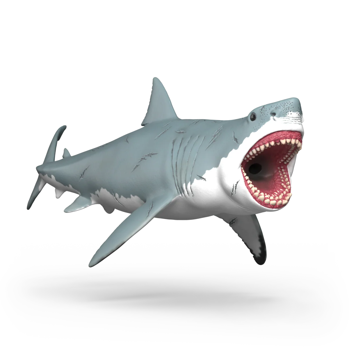 Schleich Megalodon – Happily - For Happy Minds